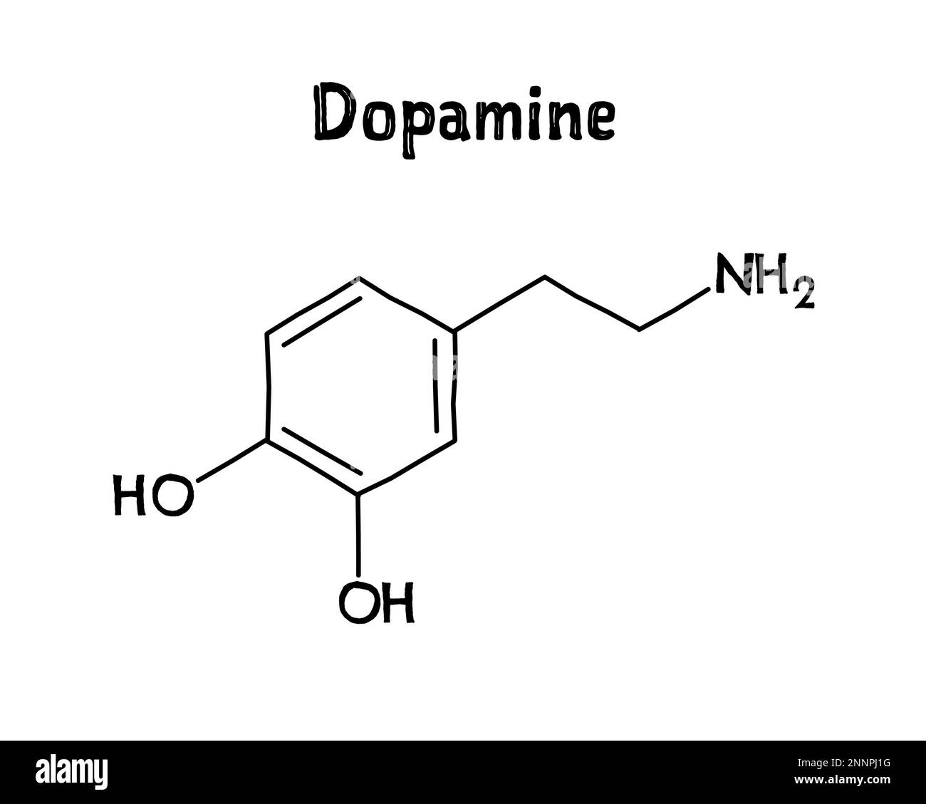 Dopamin-Molekularstruktur. Dopamin ist ein Neurotransmitter, der im ...
