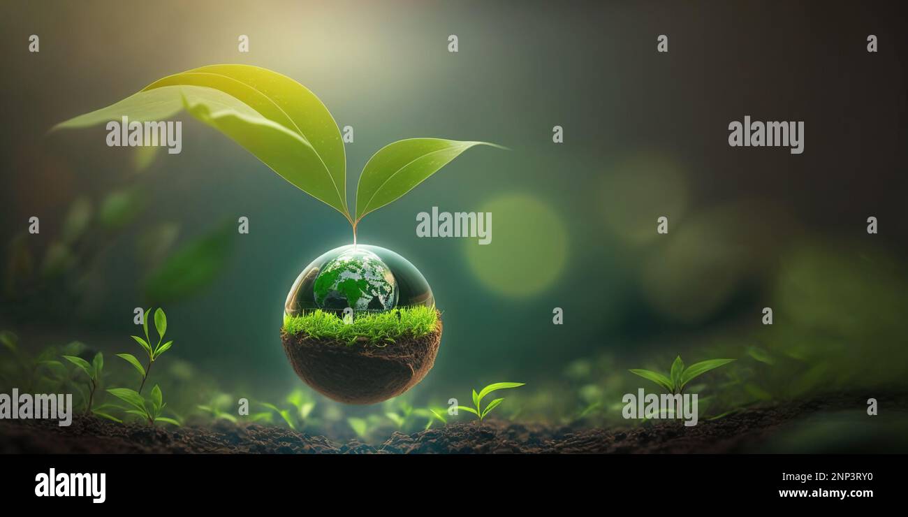 Hintergrundkonzept für grüne natürliche Umwelt für den Erdtag mit Pflanzensamen im Wald, der auf ...