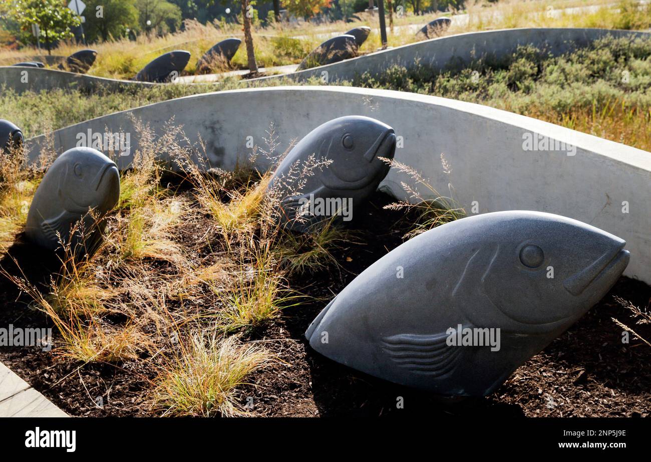 Some of the 30 fish sculptures are seen at Hancher Auditorium in Iowa ...