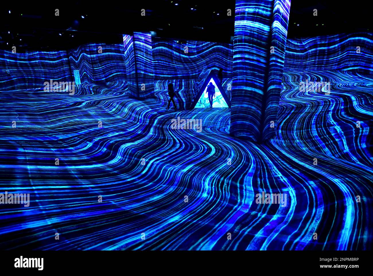 A photo shows the digital museum "teamLab Forest" of the art group ...