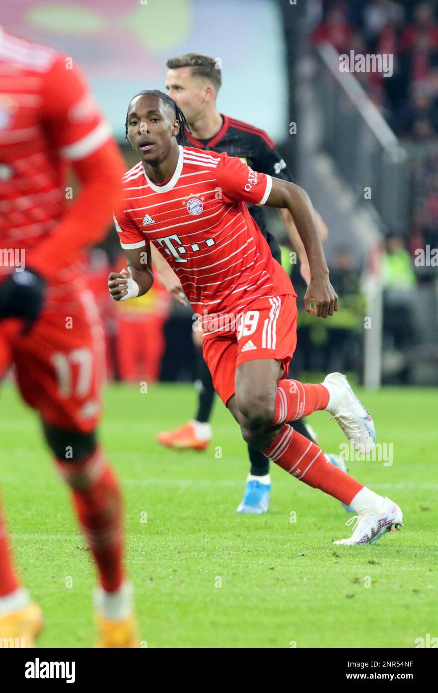 Mathys tel vom fcbayern -Fotos und -Bildmaterial in hoher Auflösung – Alamy