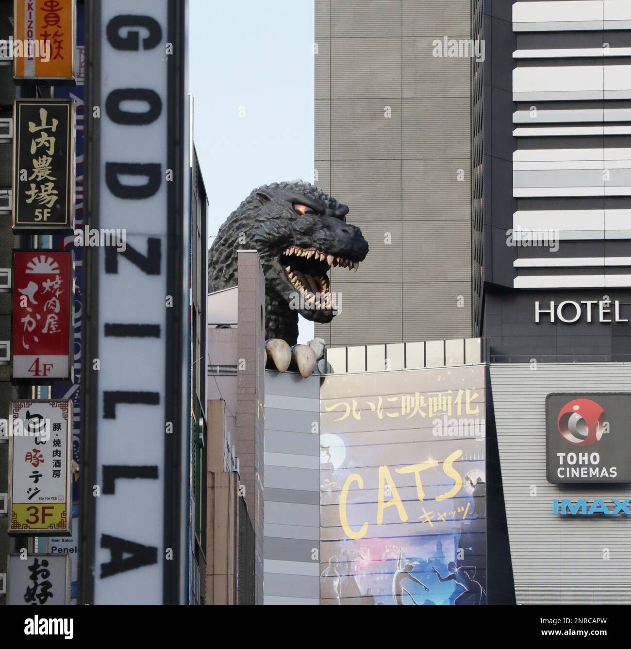 A life-sized Godzilla appears at Kabukichō in Shinjuku Ward, Tokyo on ...