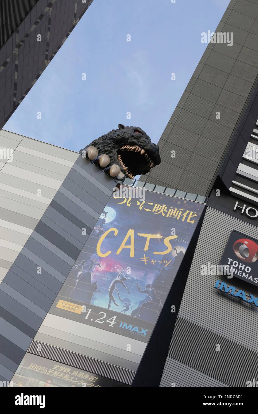 A life-sized Godzilla appears at Kabukichō in Shinjuku Ward, Tokyo on ...