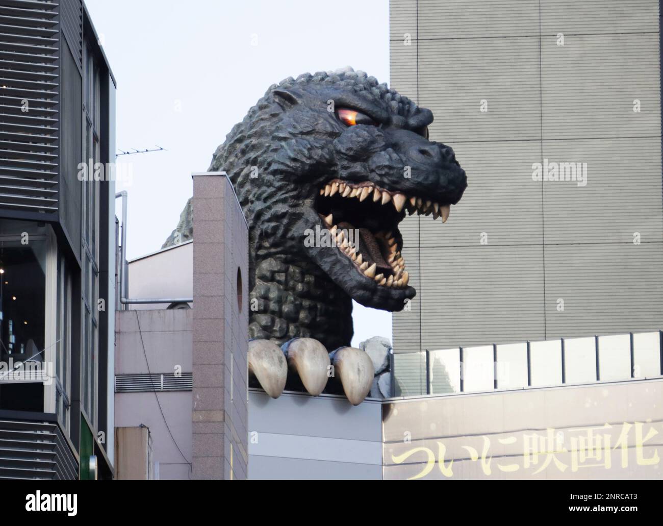A life-sized Godzilla appears at Kabukichō in Shinjuku Ward, Tokyo on ...