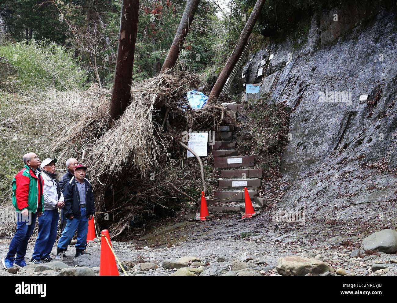 A photo shows Chiba section, geologic formation about 770,000 years ago ...