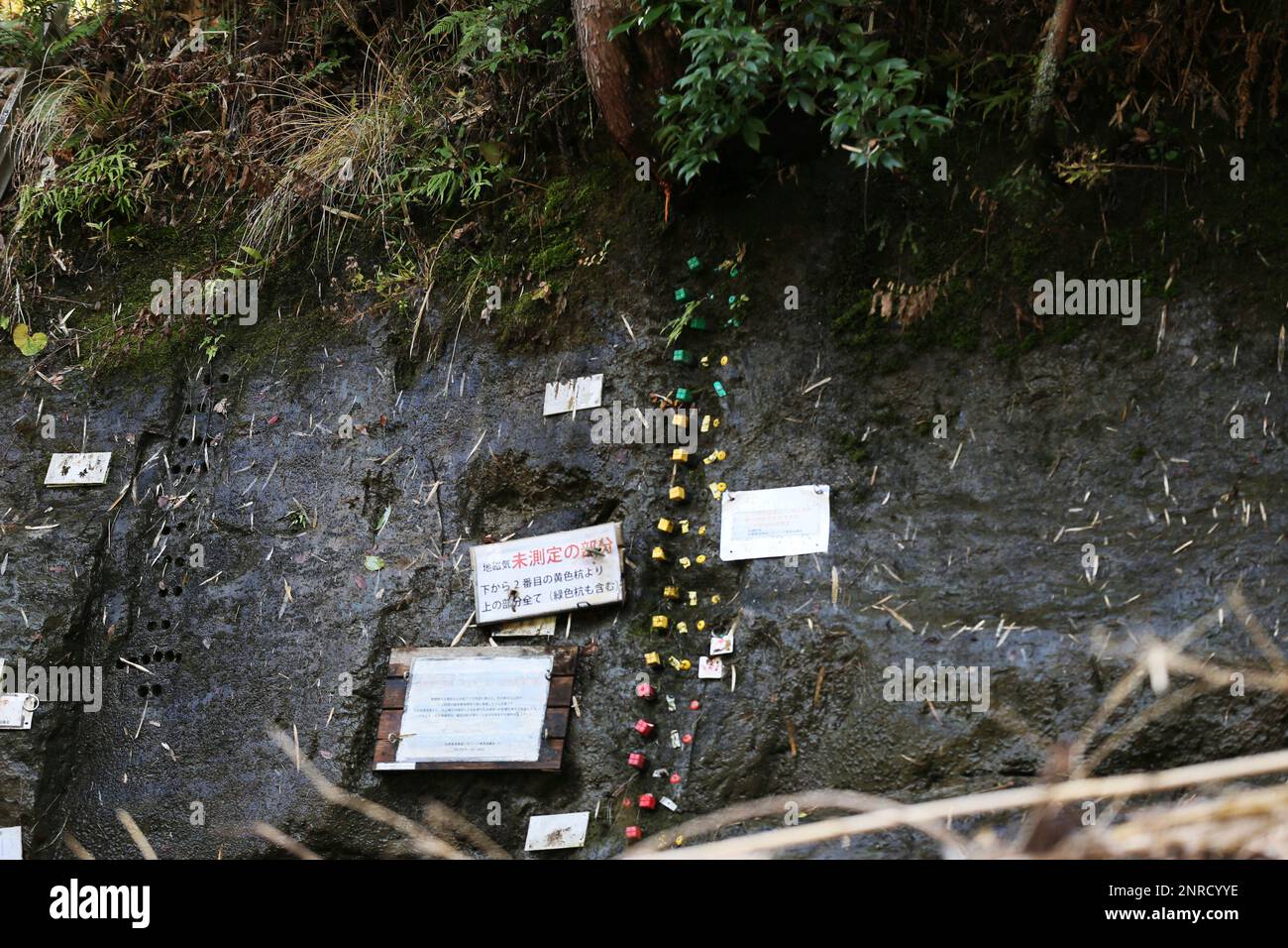 A photo shows Chiba section, geologic formation about 770,000 years ago ...