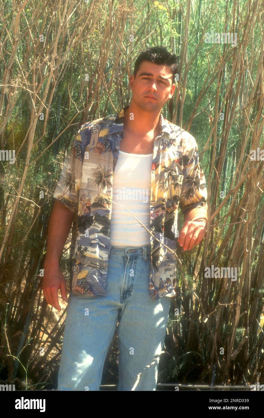 Super gepumpt -Fotos und -Bildmaterial in hoher Auflösung – Alamy