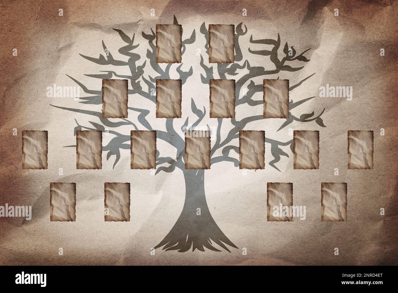 Albero genealogico vintage -Fotos und -Bildmaterial in hoher Auflösung – Alamy