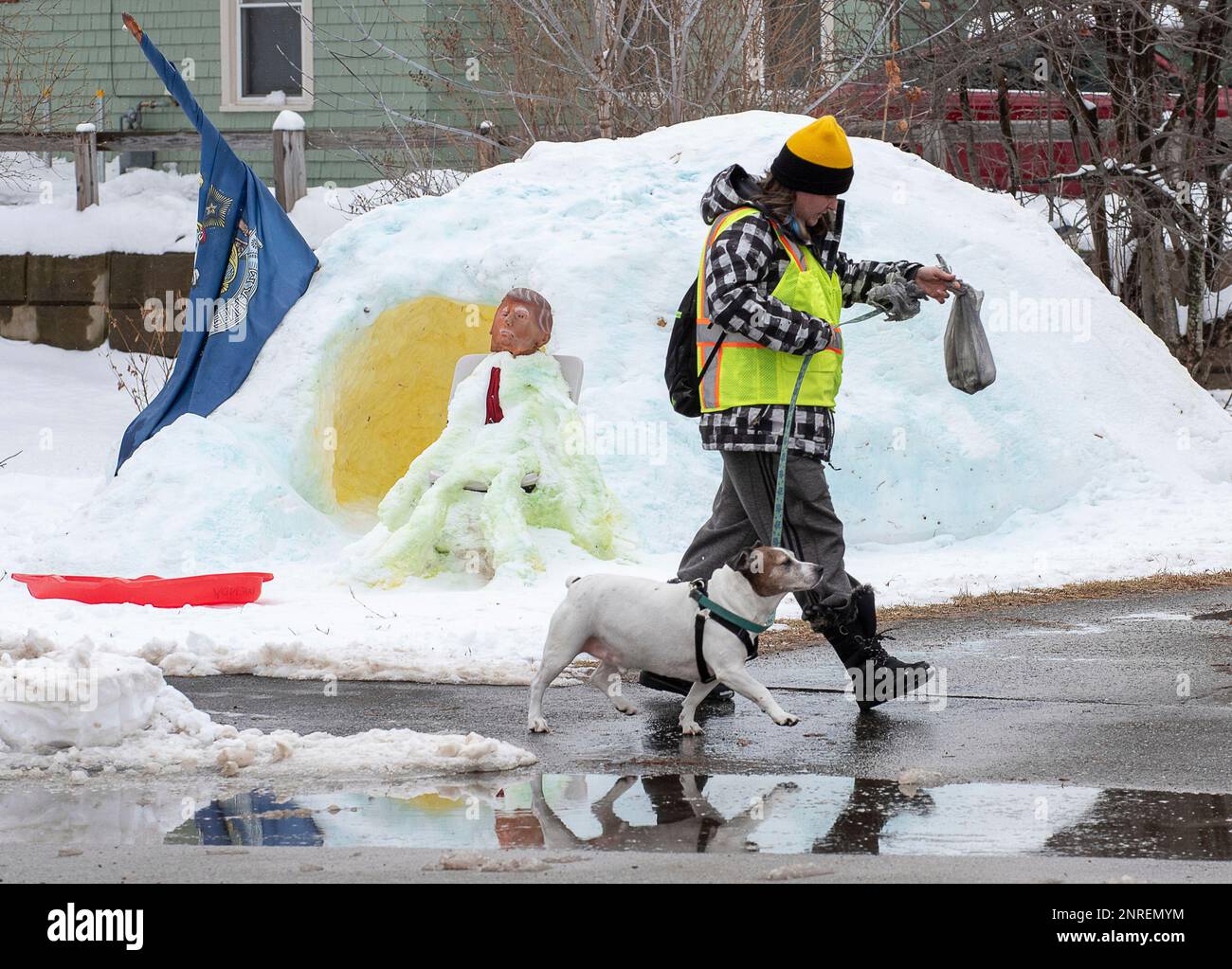 Anna Pair walks her dog Toby back to her house after taking him outside ...