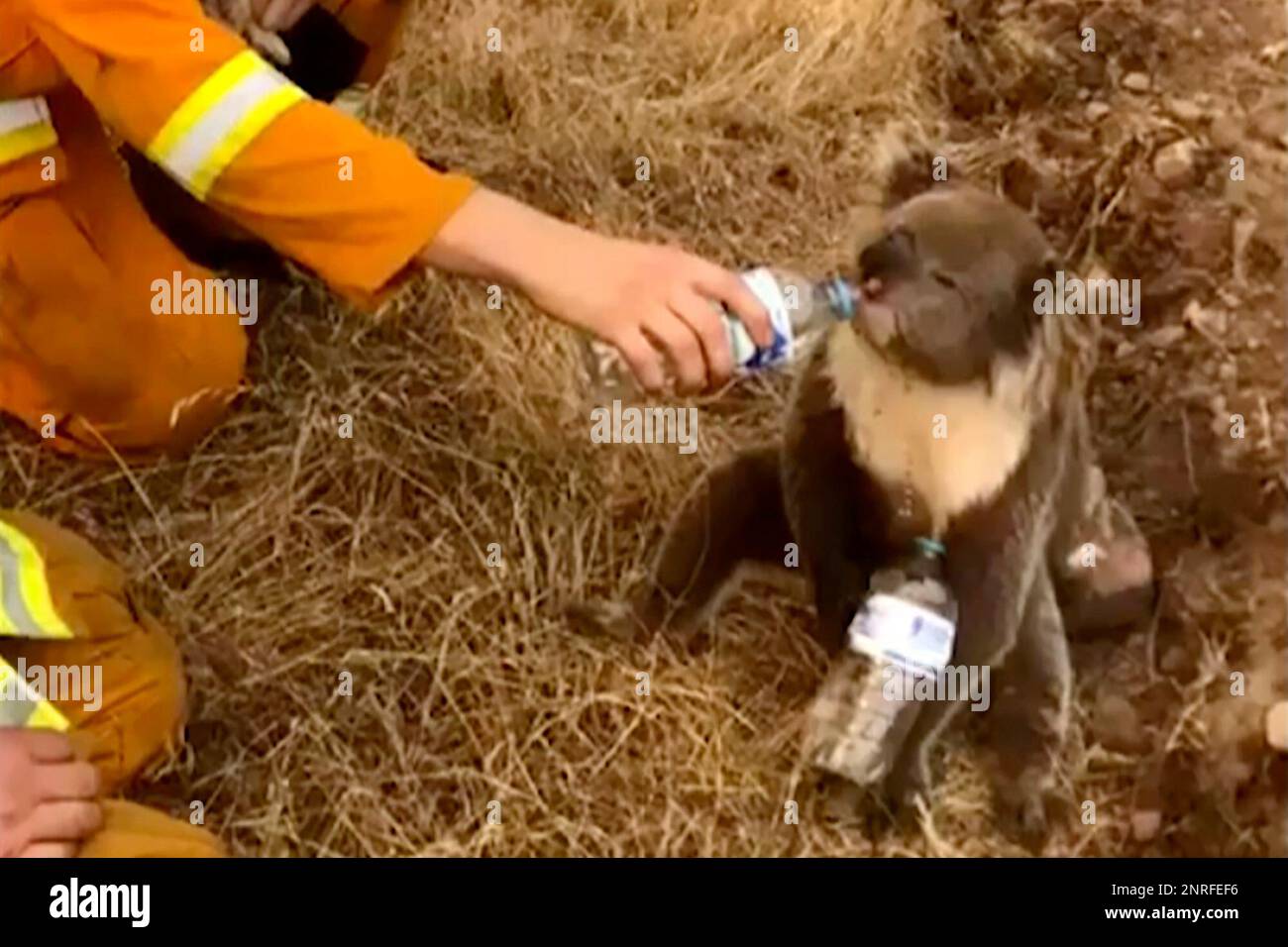 FIEL - In this image made from video taken on Dec. 22, 2019, and ...