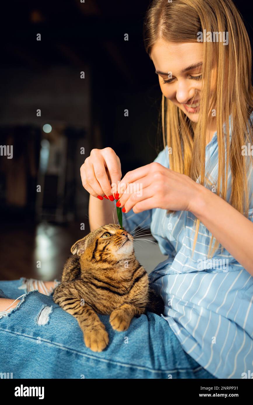 Lächelnde junge blonde Frau, die süße, grün-äugige schottische Tabby ...