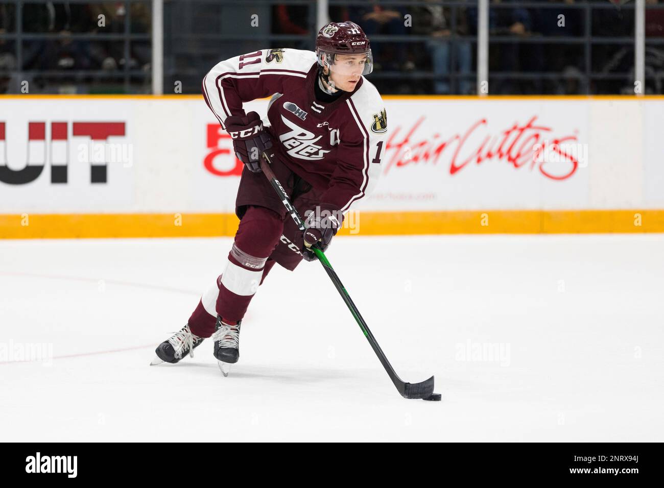 OTTAWA, ON - SEPTEMBER 29: Peterborough Petes center Zach Gallant (11 ...