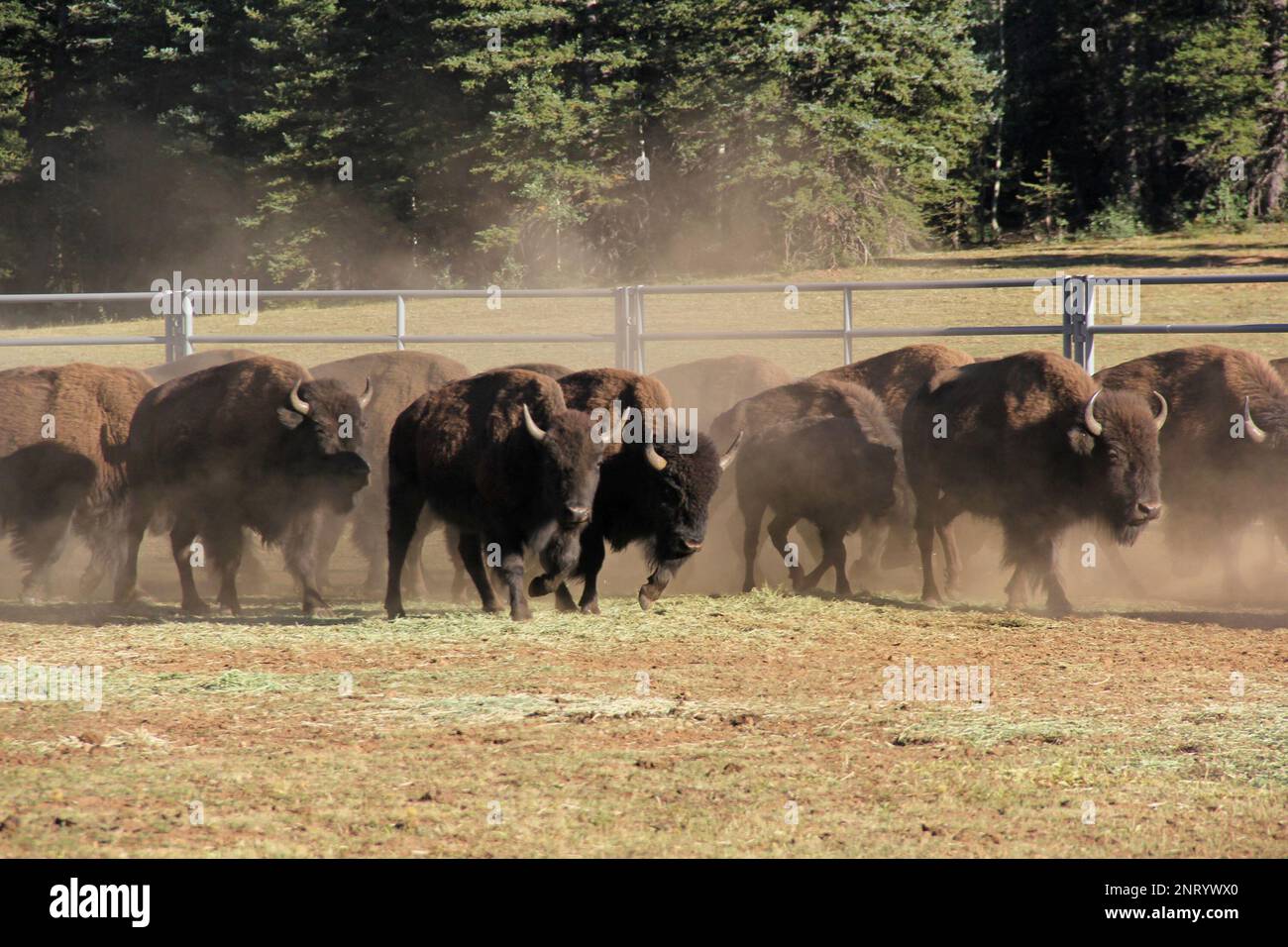 In this Sept. 13, 2019, photo, provided by the National Park Service ...