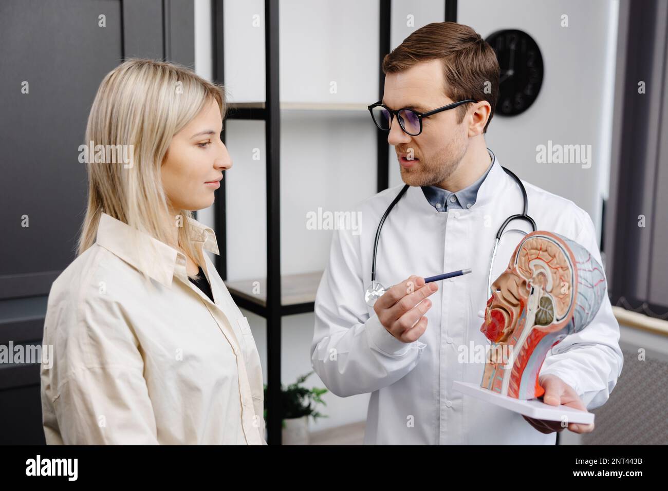 Ein junger attraktiver Hals-Nasen-Ohren-Arzt zeigt ein Modell des ...