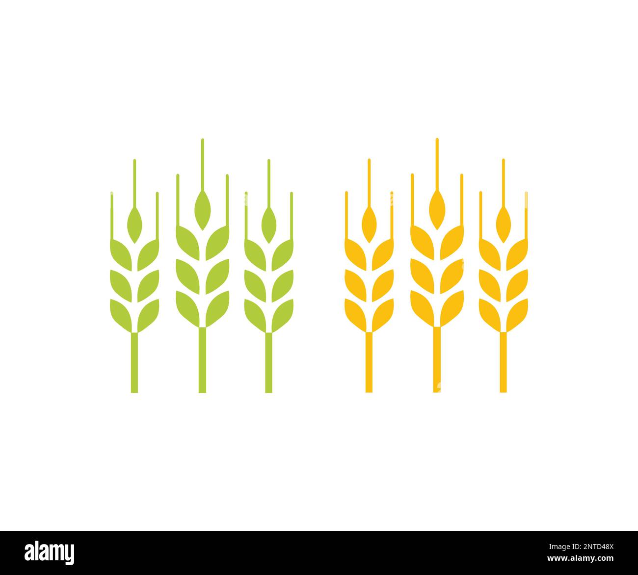 Weizen bereit zur ernte Stock-Vektorgrafiken kaufen - Alamy