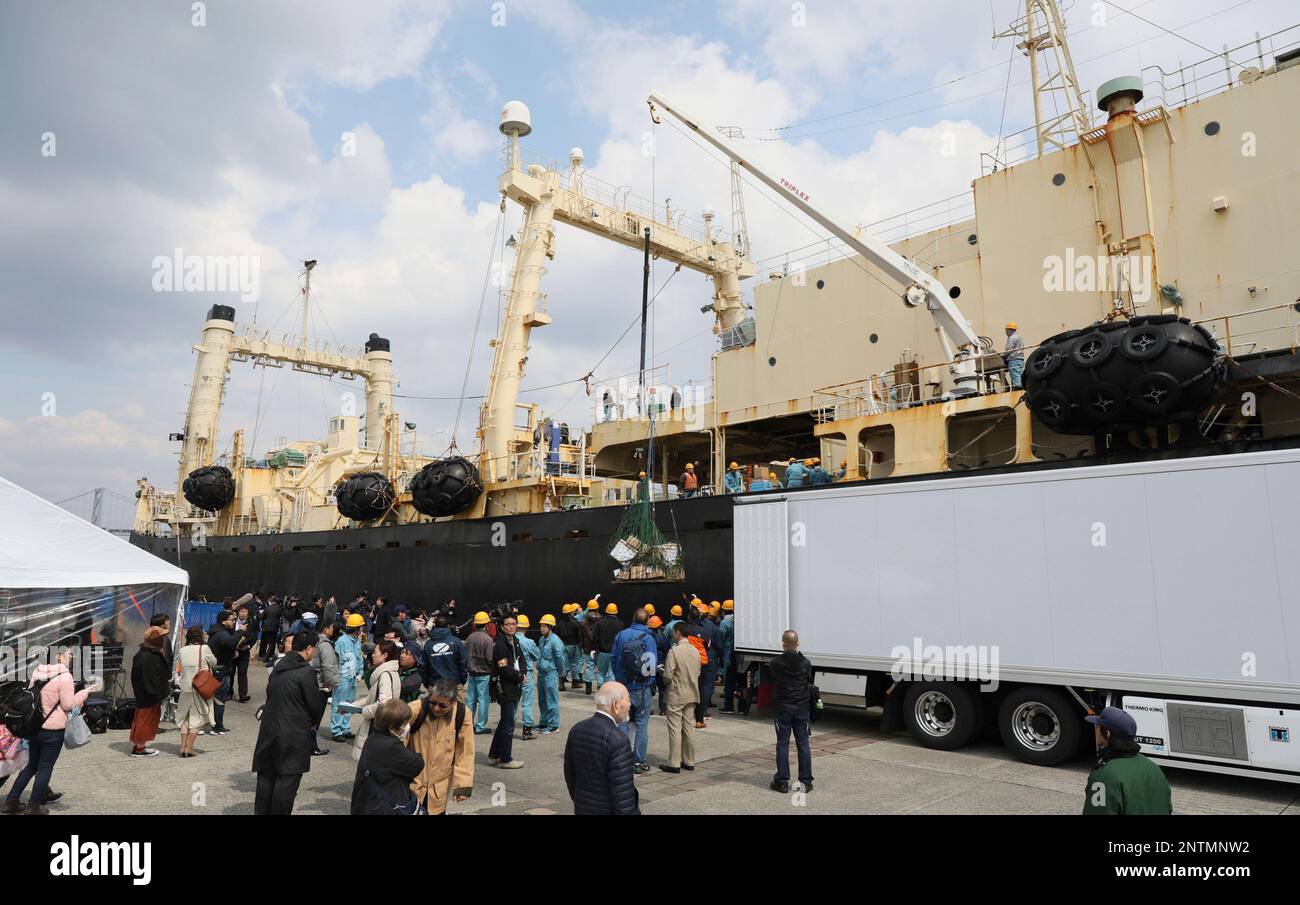 A whale catcher boat "Nisshin Maru" arrives at Shimonoseki harbor in ...