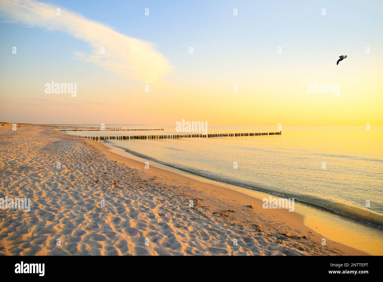 Sonnenuntergang in Wustrow auf der Halbinsel Fischland-Darss-Zingst ...