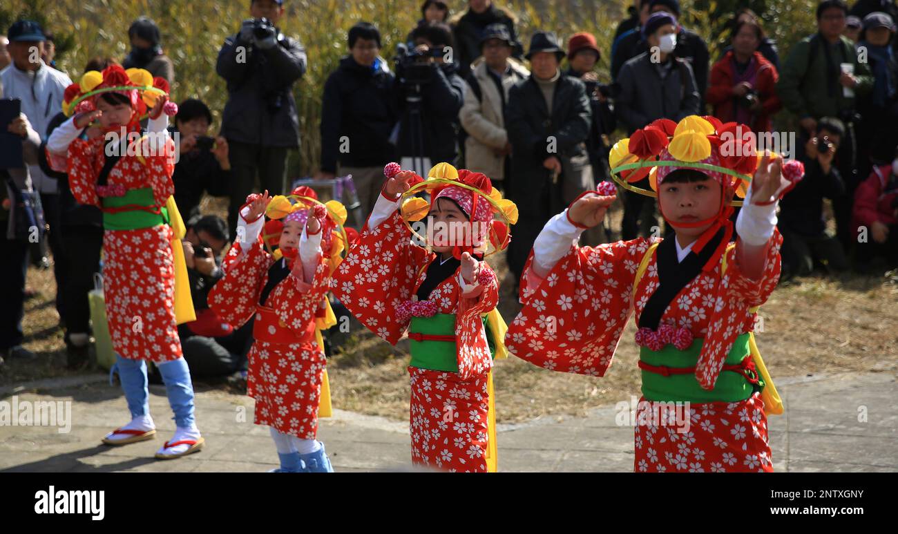 Dancers perform Taue, rice planting, Dance during Anba Matsuri Festival ...