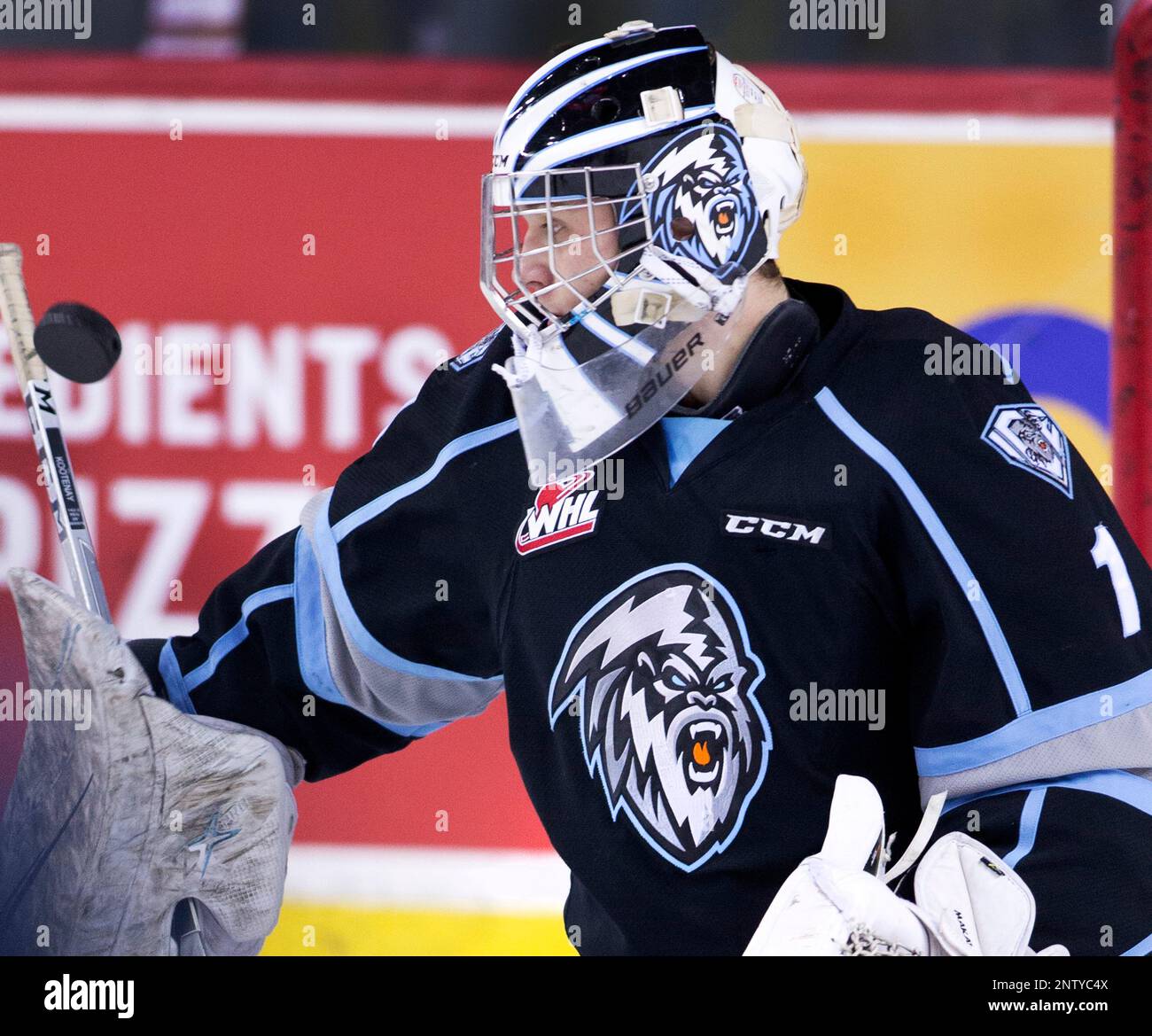 WHL (Western Hockey League) profile photo on Kootenay Ice goalie Jesse ...
