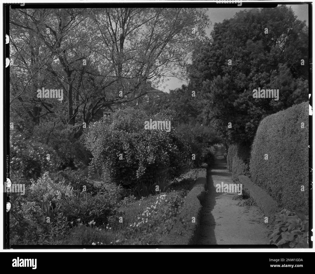 Shirley, Charles City County, Virginia. Carnegie Survey of the ...