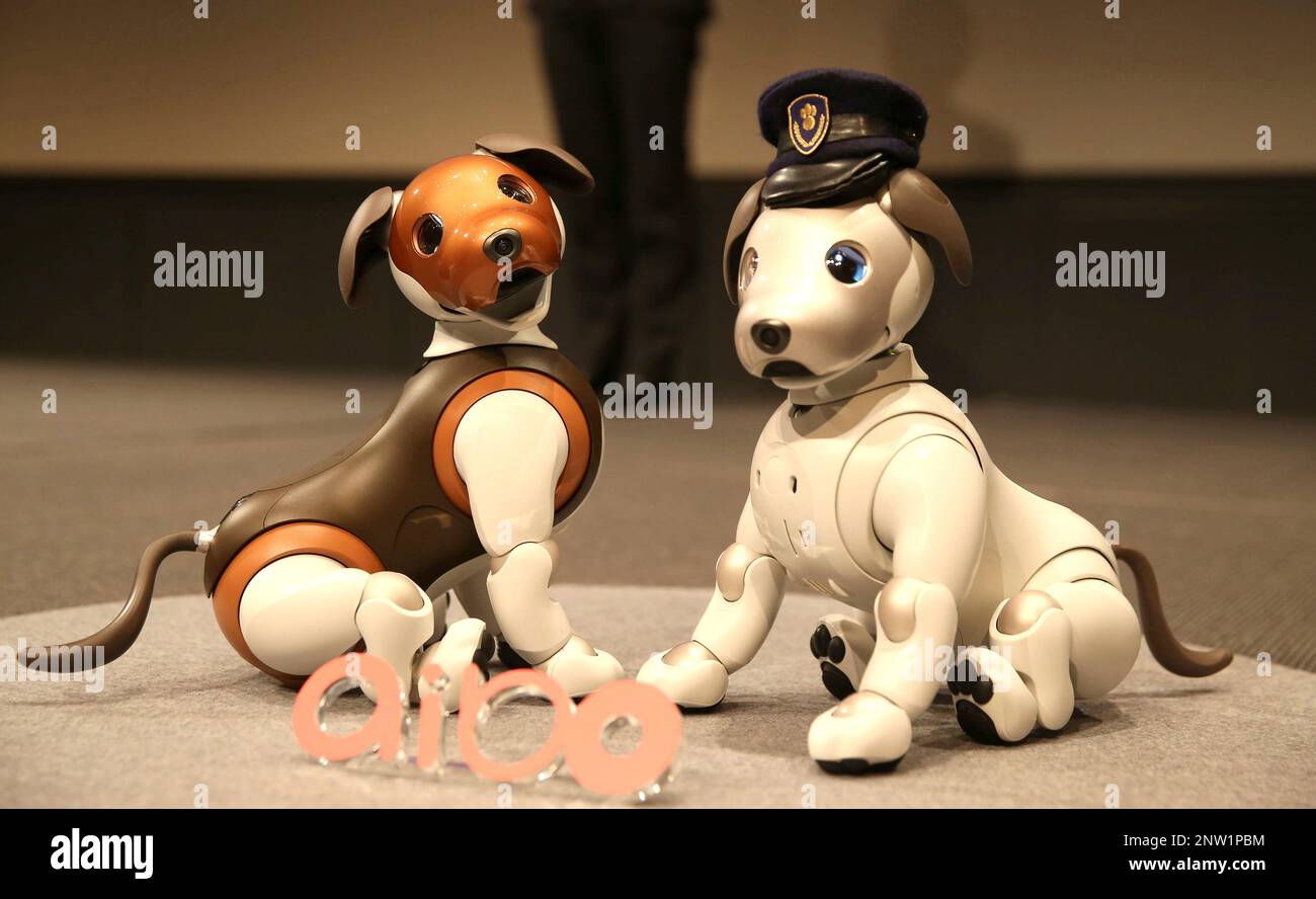 Doglike entertainment robots "Aibo no Omawari san","Police Office" (R ...
