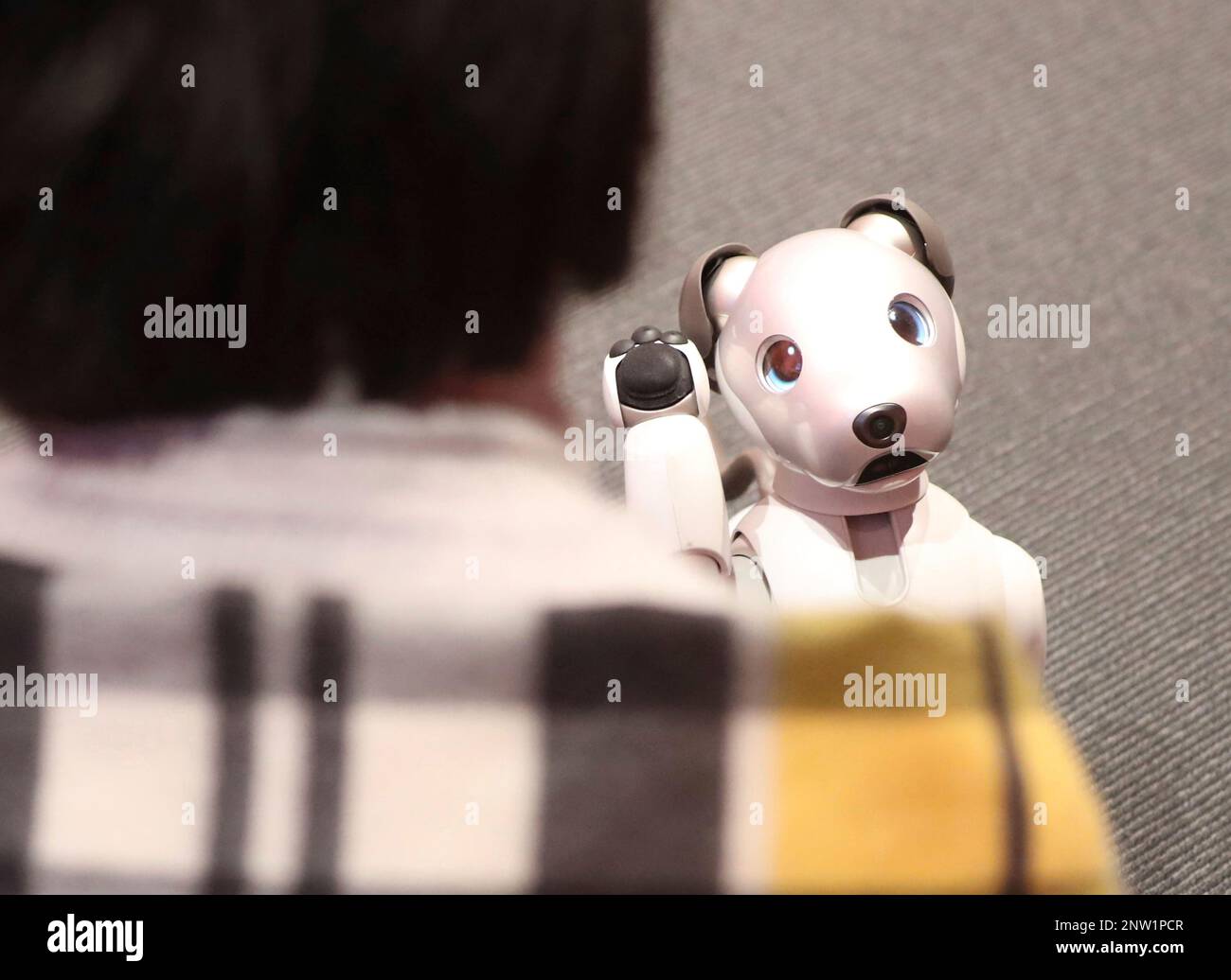 A doglike entertainment robot "Aibo no Omawari san","Police Office" is unveiled by Sony Corp. in ...