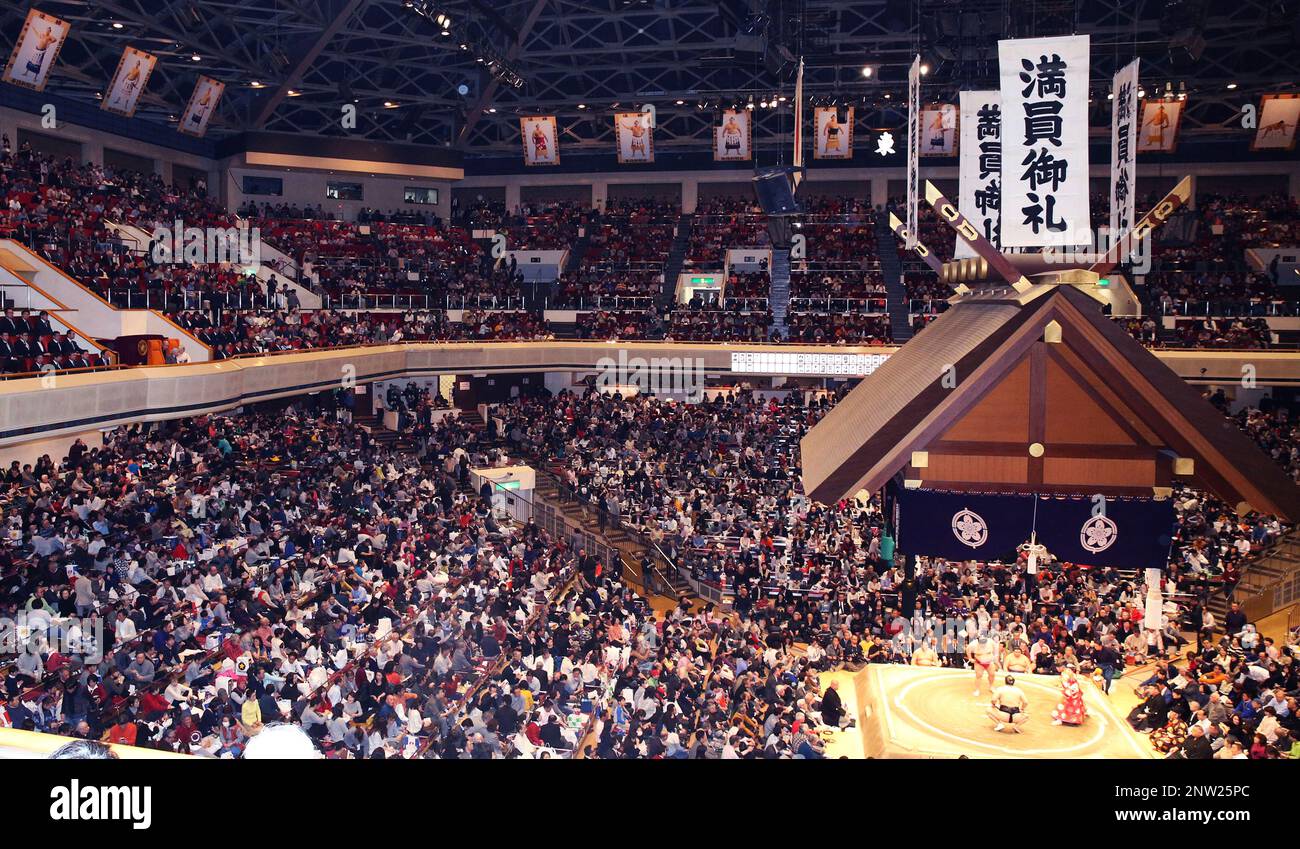 Japan's Emperor Akihito and Empress Michiko (L) watch the sumo ...