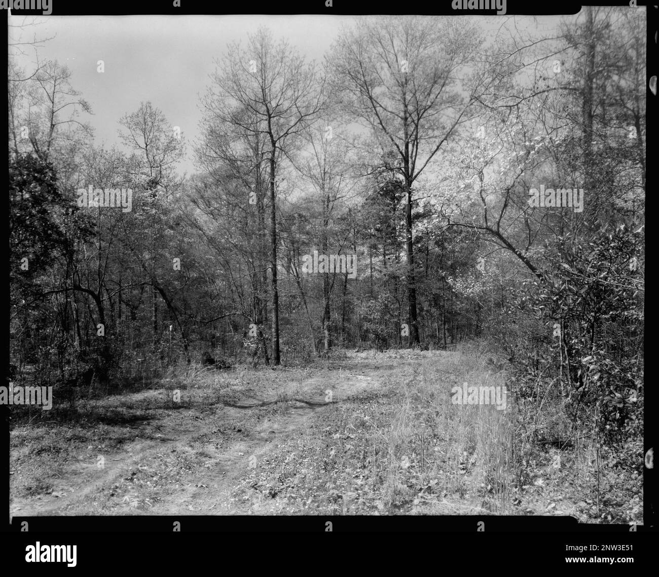 Anne carnegie -Fotos und -Bildmaterial in hoher Auflösung – Alamy