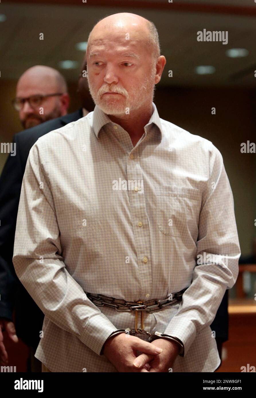 Thomas Bruce appears in St. Louis County Circuit Court on Wednesday ...