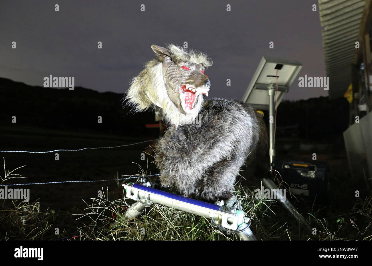 A robot called " Super Monster Wolf'' is set to protect from serious ...