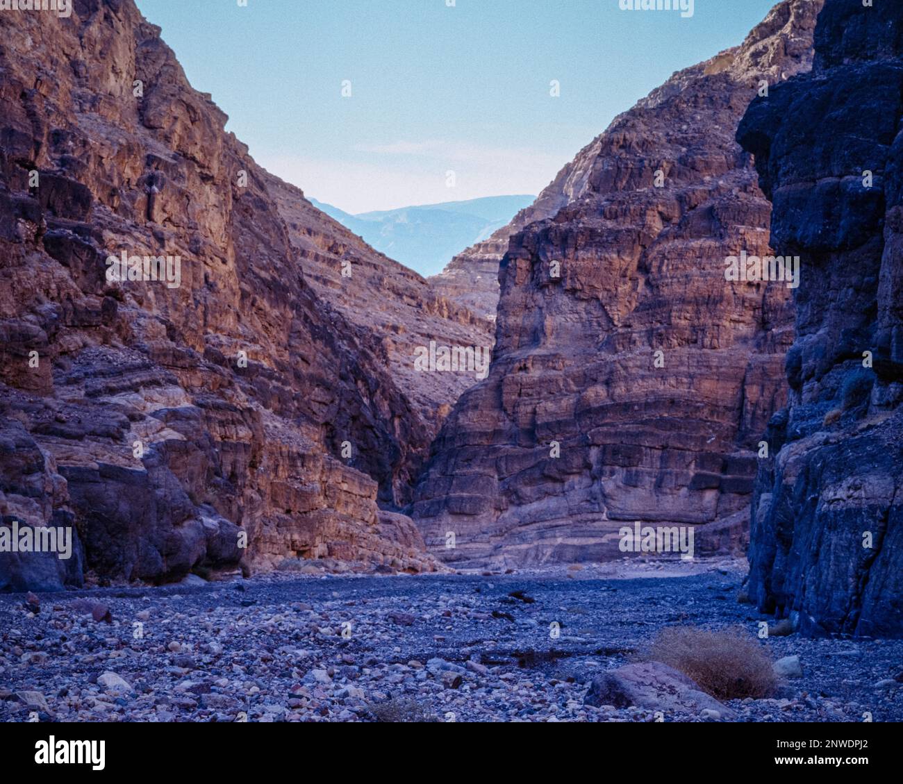 Sheep death valley -Fotos und -Bildmaterial in hoher Auflösung – Alamy