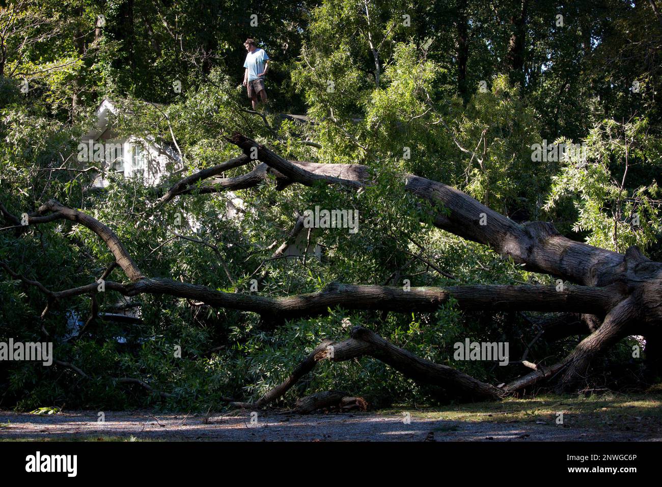 Joshua Forrest stands atop a home at 66 Denbigh Blvd that was engulfed ...