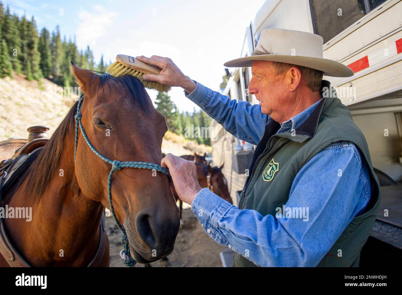 U.S. Forest Service "lead packer" Glenn Ryan brushes his horse before ...