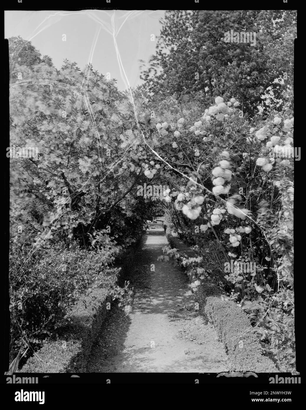 Shirley, Charles City County, Virginia. Carnegie Survey of the ...