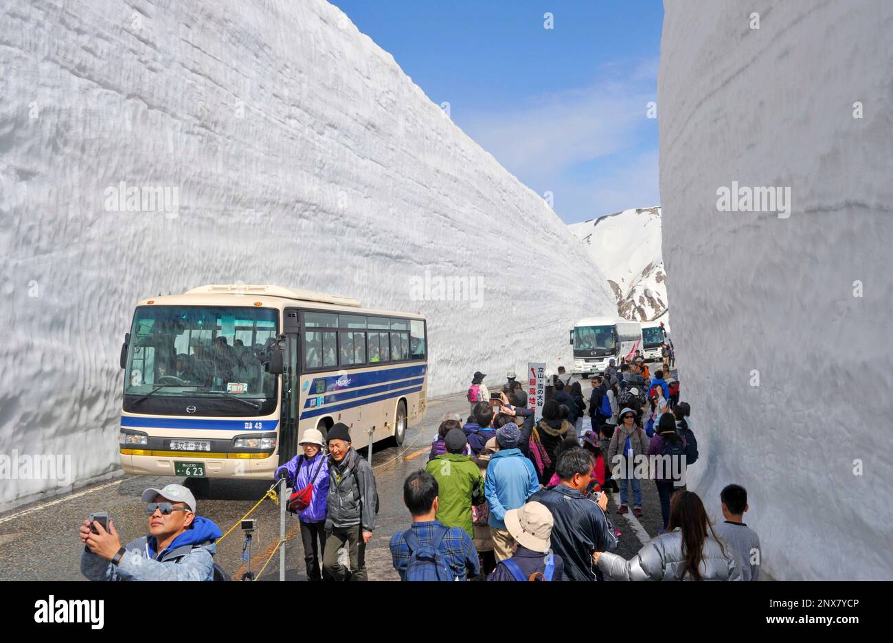 People enjoy viewing the about 20-meter snow walls of the Yuki no Otani ...