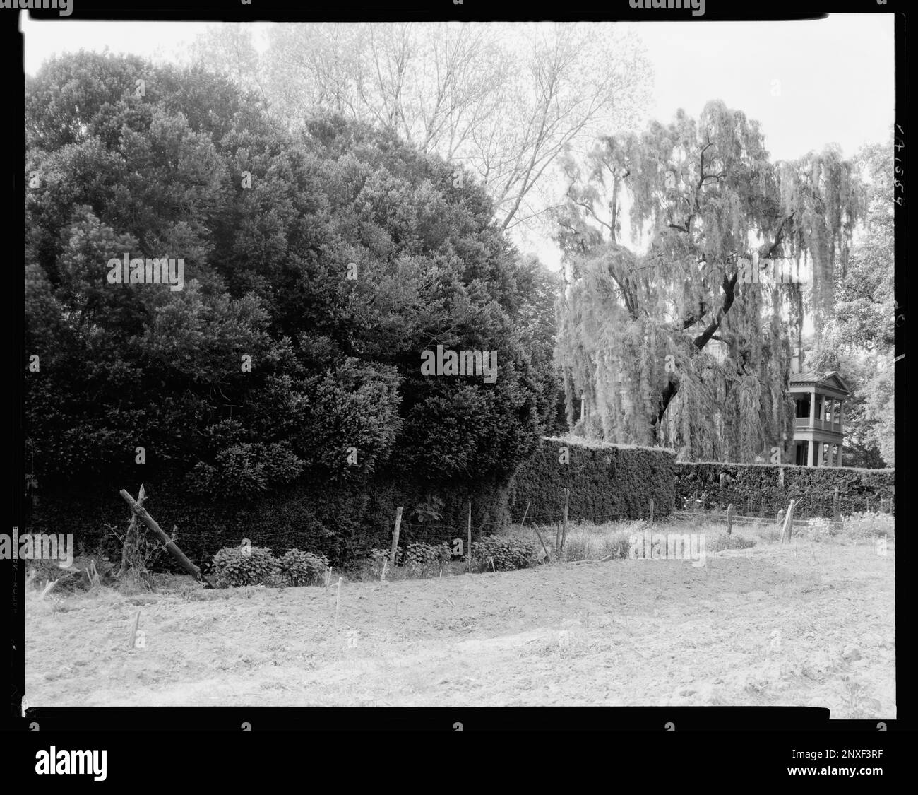 Shirley, Charles City County, Virginia. Carnegie Survey of the ...
