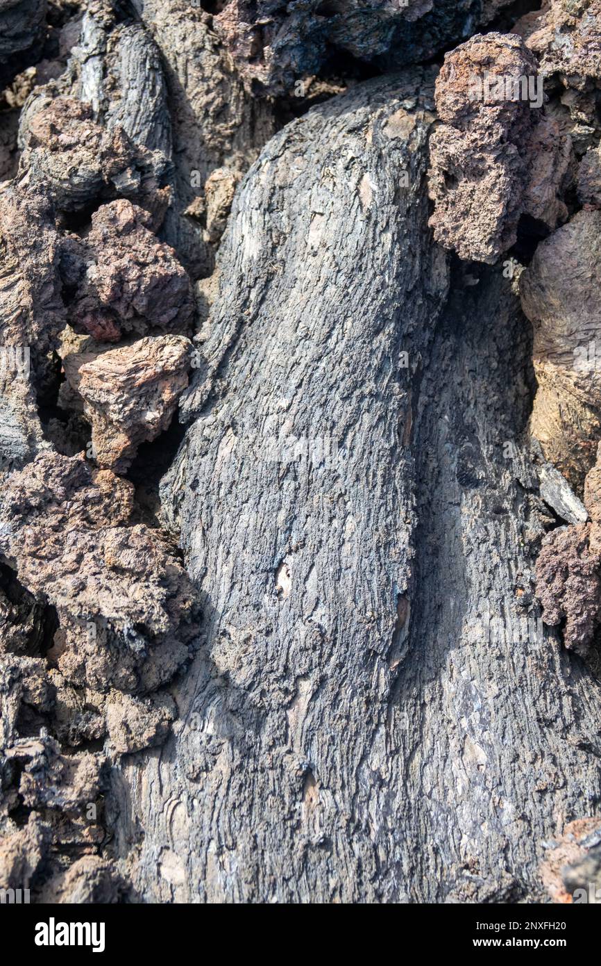 Zellulare lava -Fotos und -Bildmaterial in hoher Auflösung – Alamy