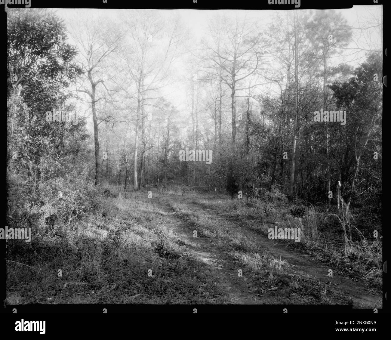 Anne carnegie -Fotos und -Bildmaterial in hoher Auflösung – Alamy