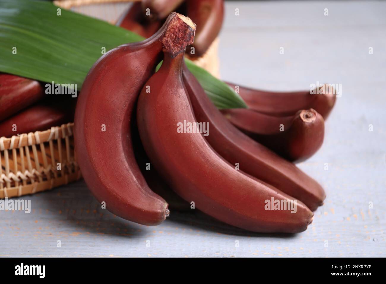 Cluster von roten bananen -Fotos und -Bildmaterial in hoher Auflösung ...