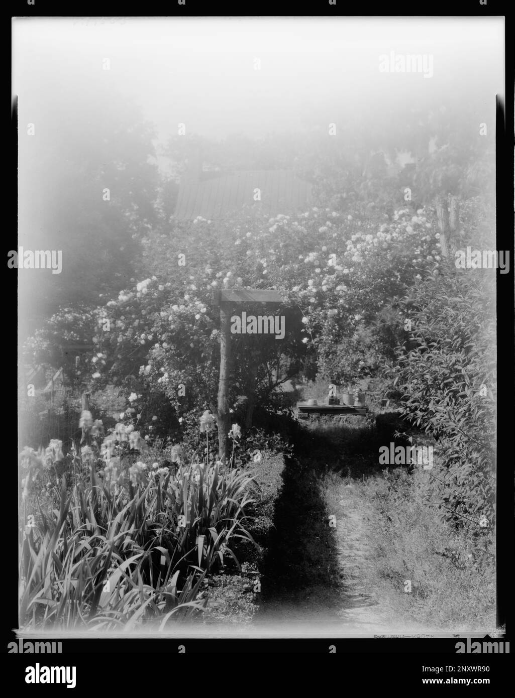 Shirley, Charles City County, Virginia. Carnegie Survey of the ...