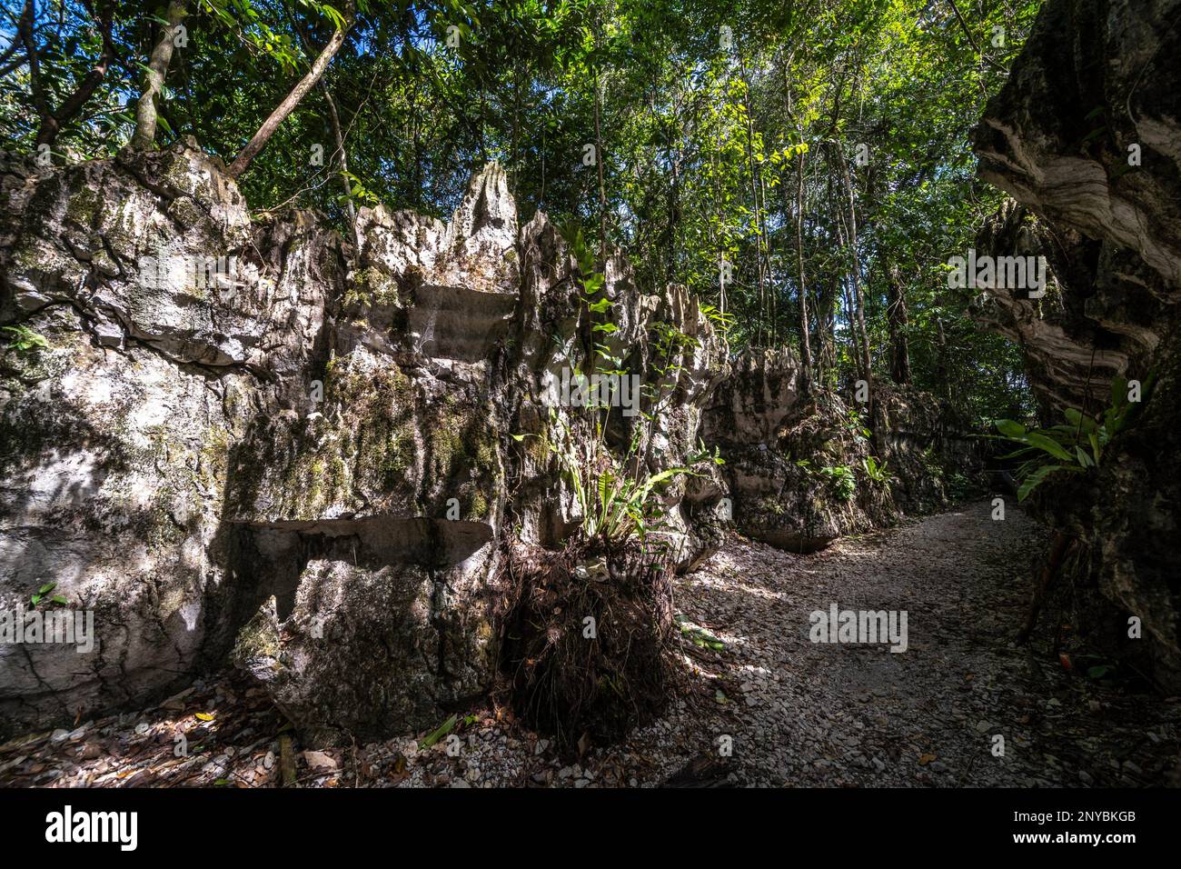Paku Rock Maze Garden, Bau, Sarawak, East Malaysia, Borneo Es ist ein ...