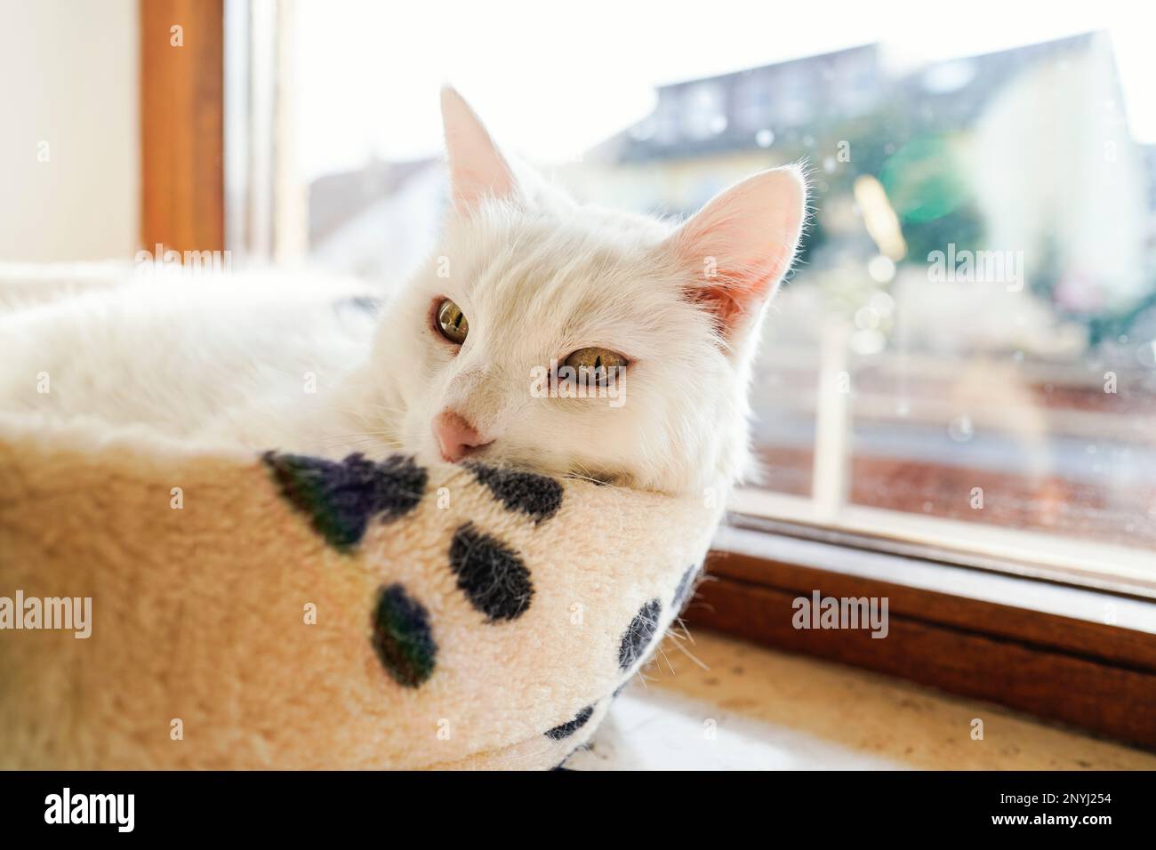 Walldorf naturschutz -Fotos und -Bildmaterial in hoher Auflösung – Alamy