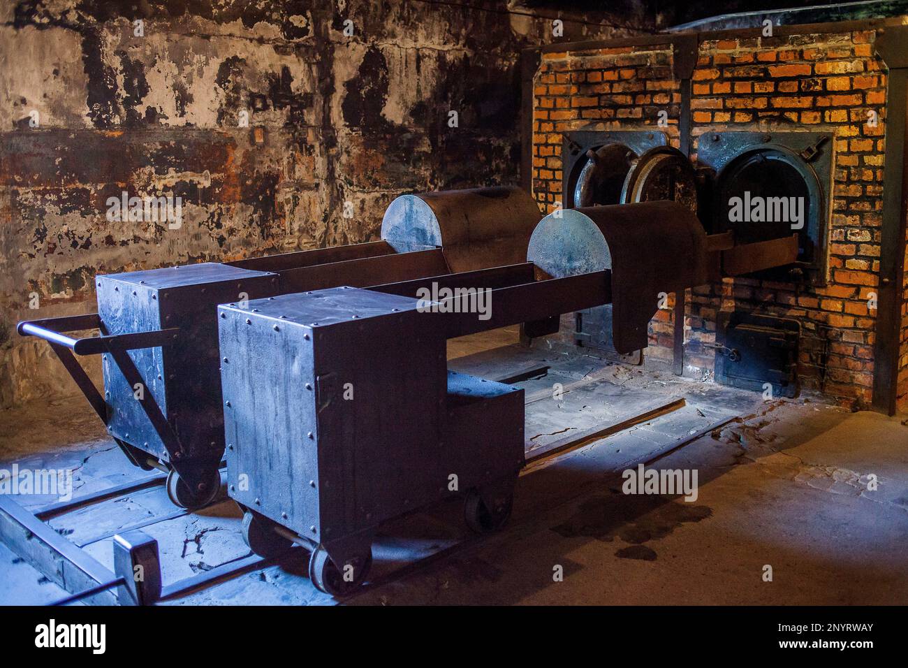 Auschwitz bodies -Fotos und -Bildmaterial in hoher Auflösung – Alamy