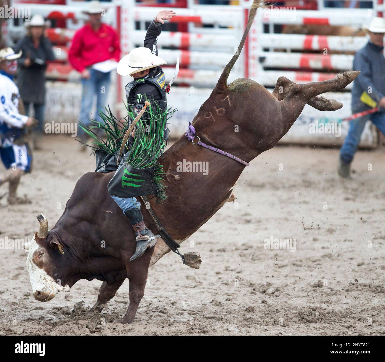 Bull Riding event in the rain and mud during the Calgary Stampede rodeo ...