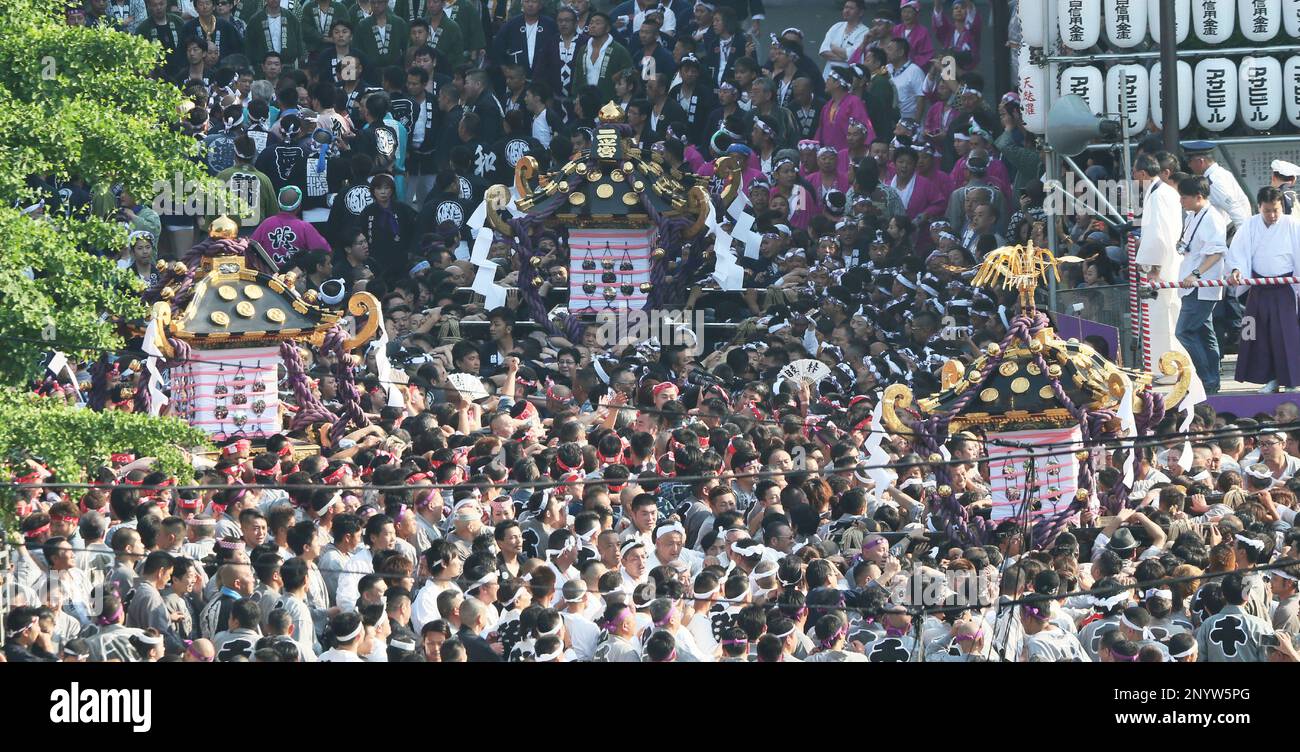 Ujiko parishioners of Asakusa Shrine carry Mikoshi, portable shrines on ...