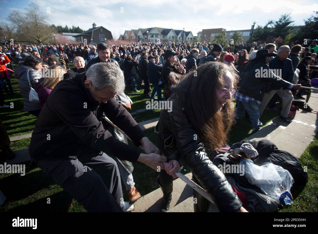 Volunteers pull on ropes to raise a totem pole made in the spirit of ...