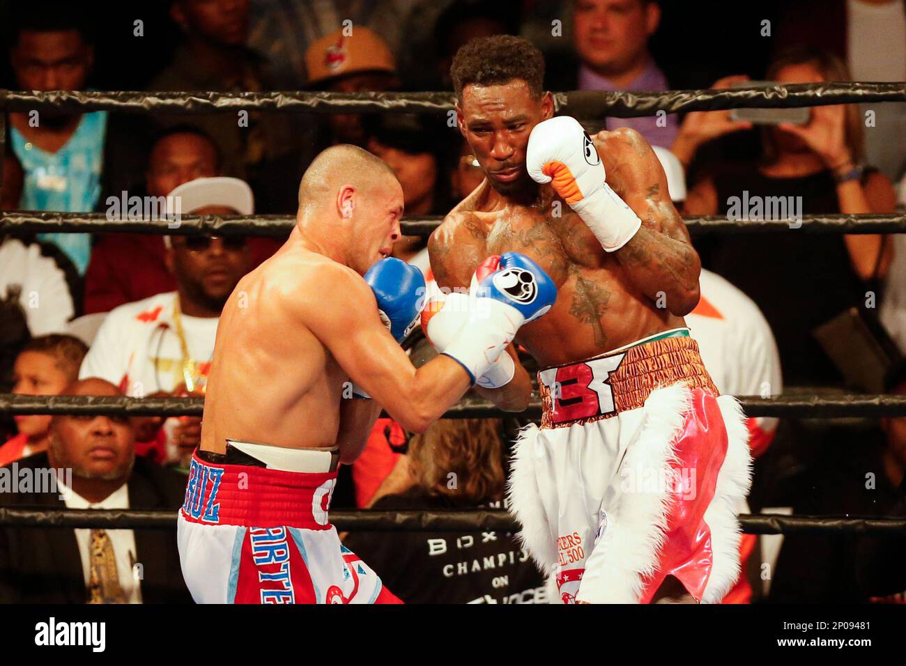 TOLEDO, OH - FEBRUARY 10: IBF World lightweight champion Robert Easter ...