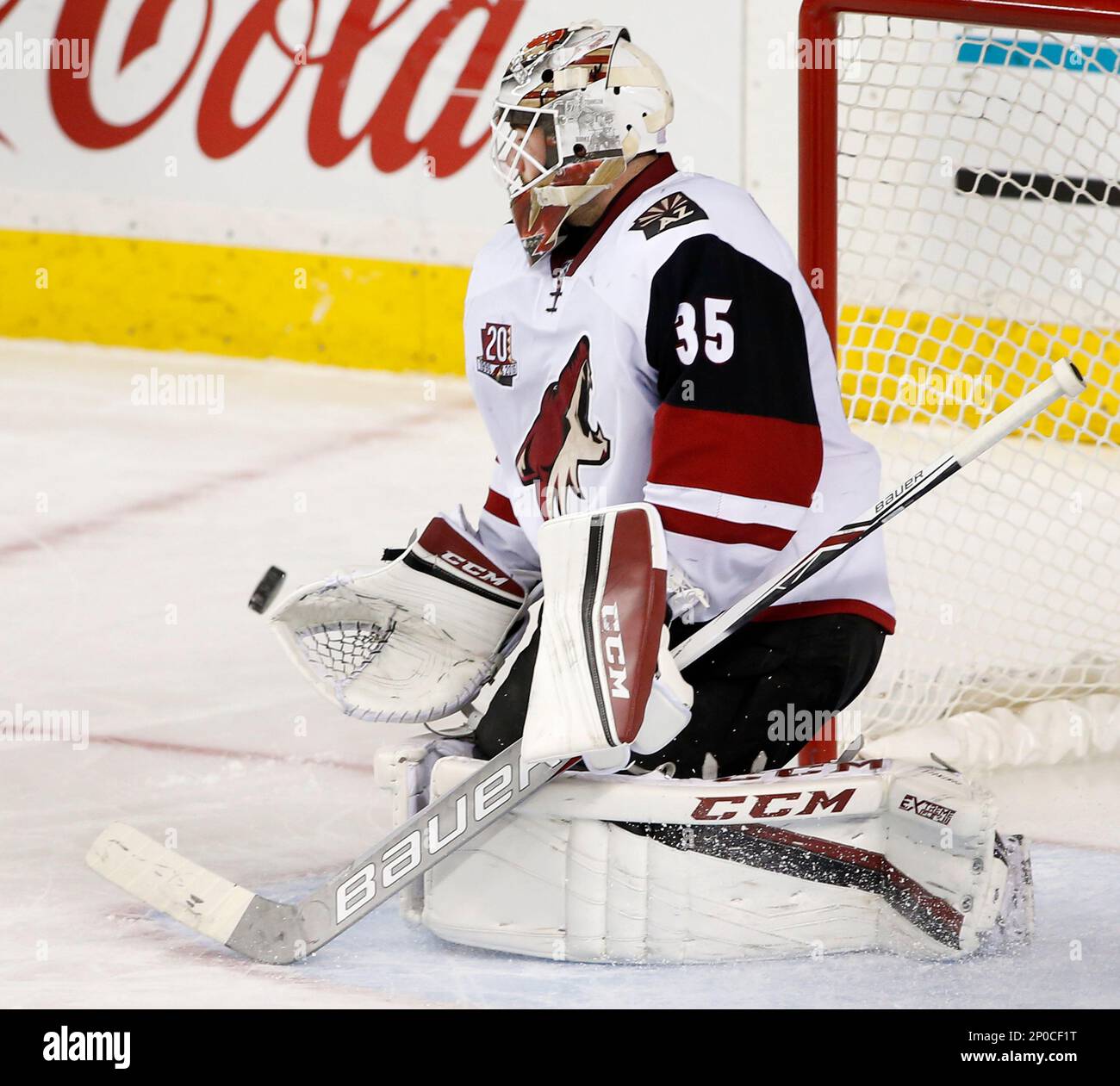 NHL profile photo on Arizona Coyotes' goalie Louis Domingue at a game ...