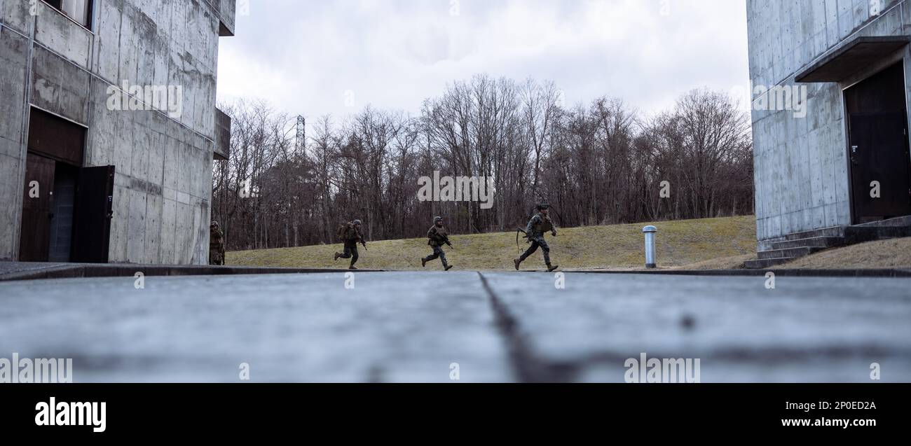 USA Marines mit 3D. Bataillon, 4. Marines führen während der Fuji Viper ...