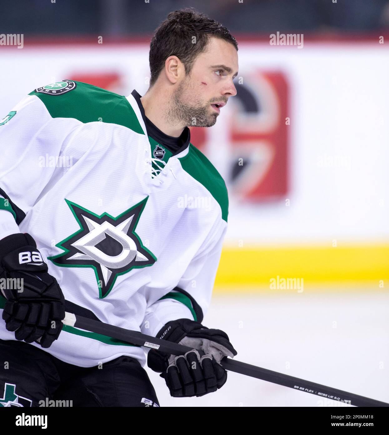 NHL profile photo on Dallas Stars' Dan Hamhuis at a game against the ...